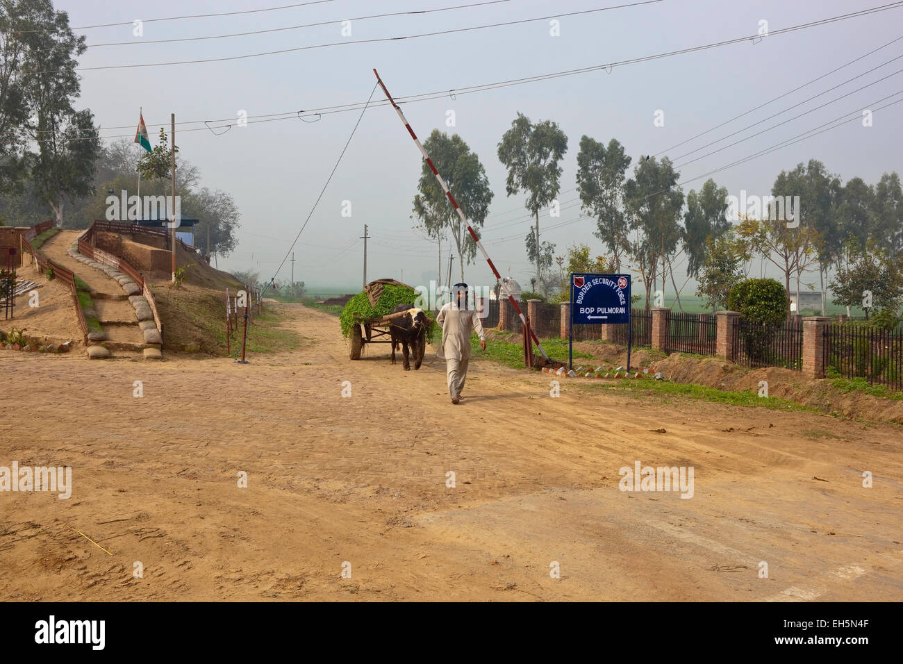 A Punjabi man leads a cattle cart through the Indian border checkpoint ...