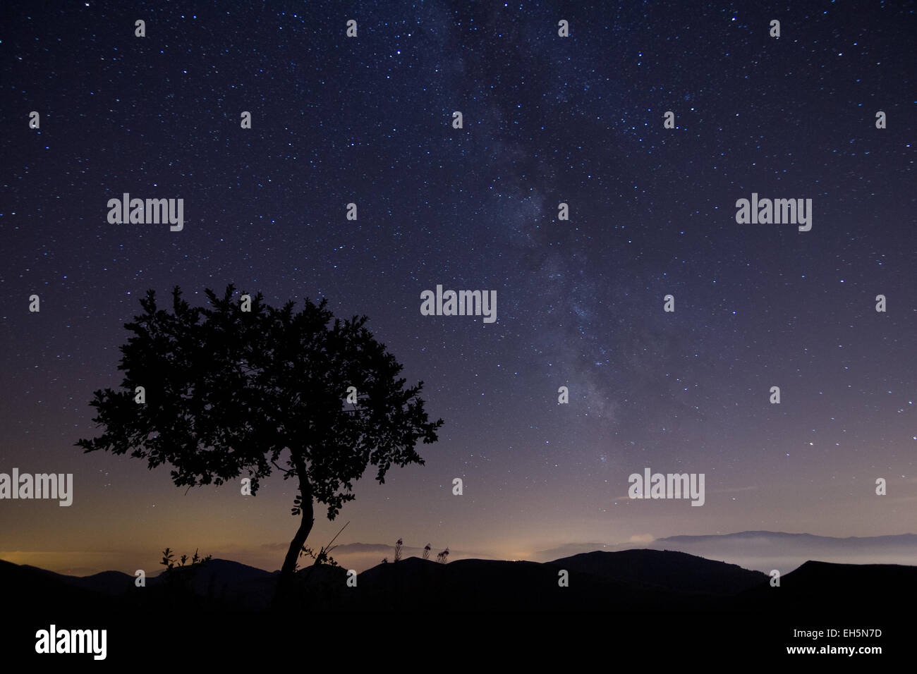 Milky way galaxy tree hi-res stock photography and images - Alamy