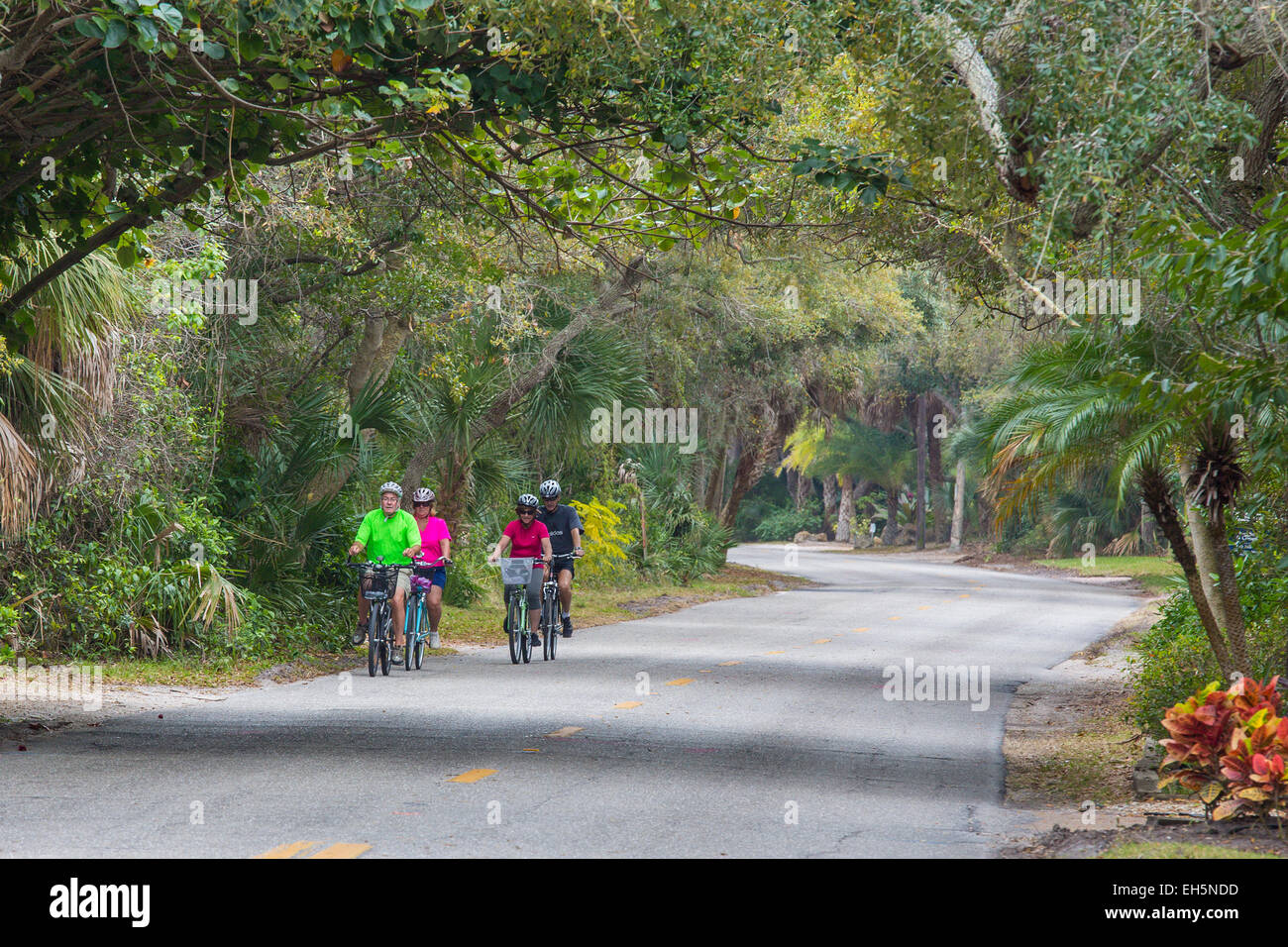 Group of people riding bikes hi-res stock photography and images - Alamy