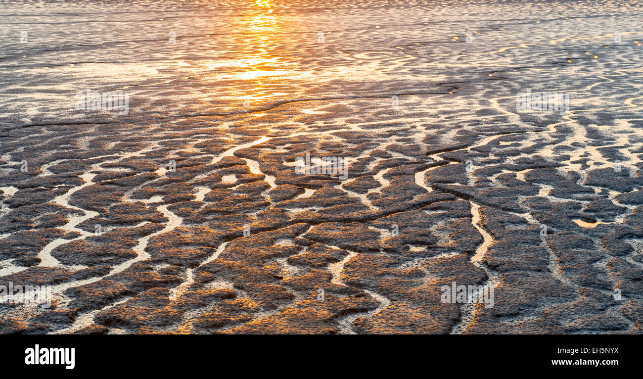 Structure of mudflat at the coast of France, Paimboeuf Stock Photo - Alamy