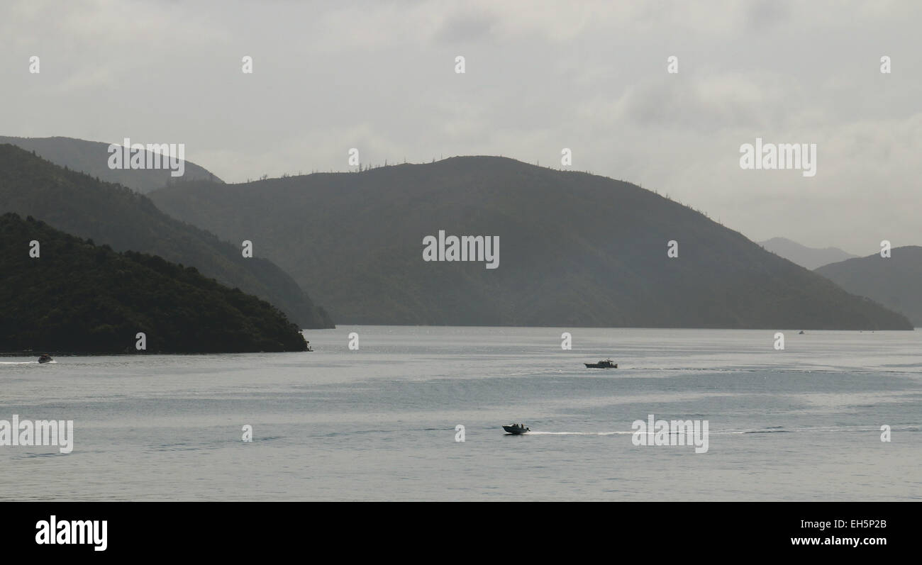 Cook Strait ferry New Zealand islands Stock Photo - Alamy