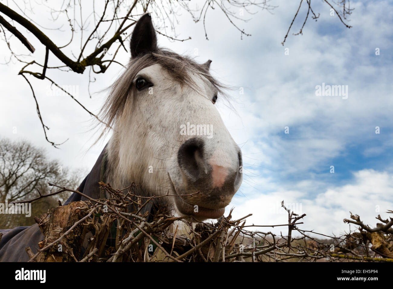 Crich, Derbyshire, U.K. 7th March 2015. UK weather. A dry day with ...