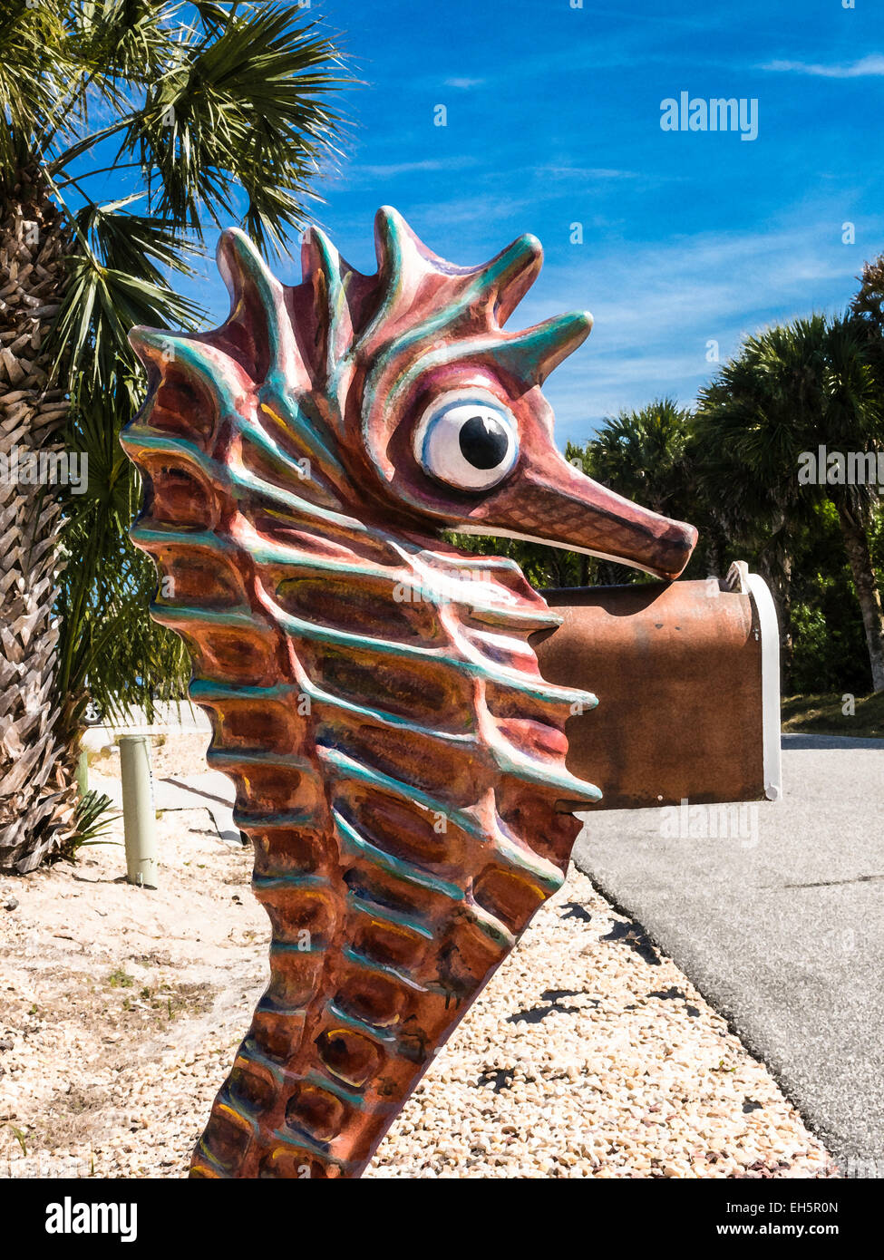 Hand Painted Seahorse Mailbox, Residential Suburban Home, Flagler Beach ...