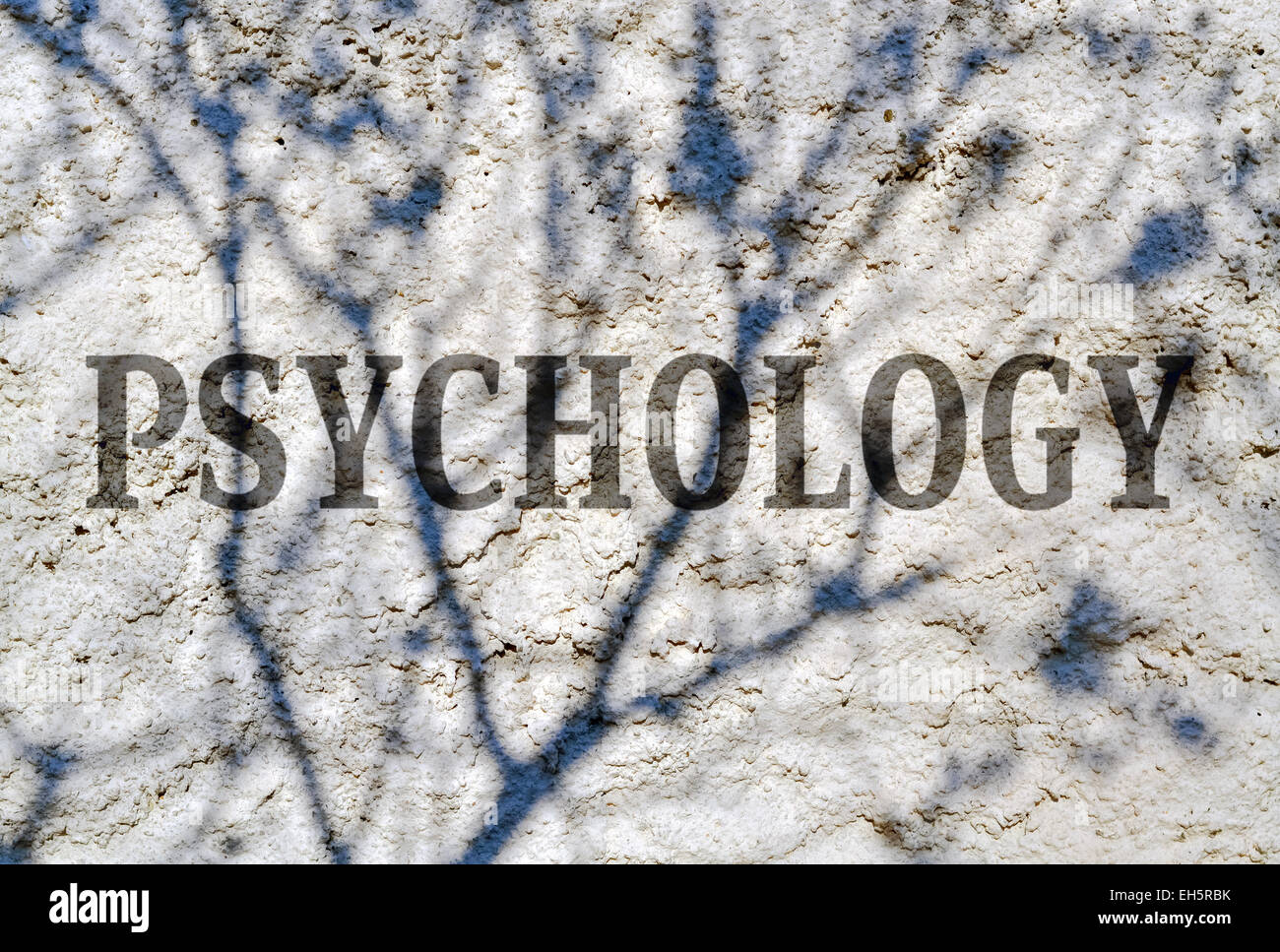 Conceptual expression of complexity of the human mind Stock Photo - Alamy