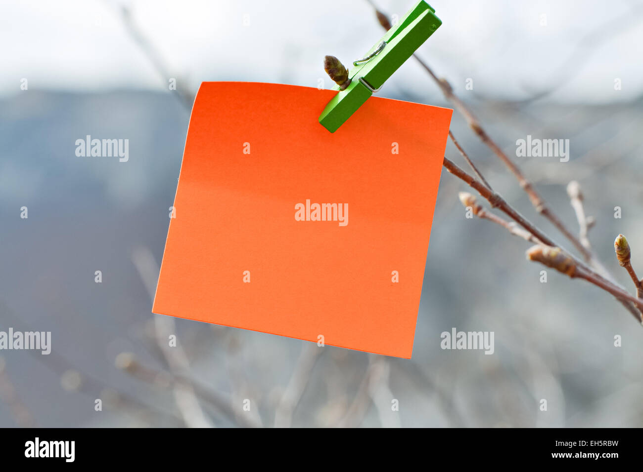 Blank sticker with empty space for text printing Stock Photo - Alamy