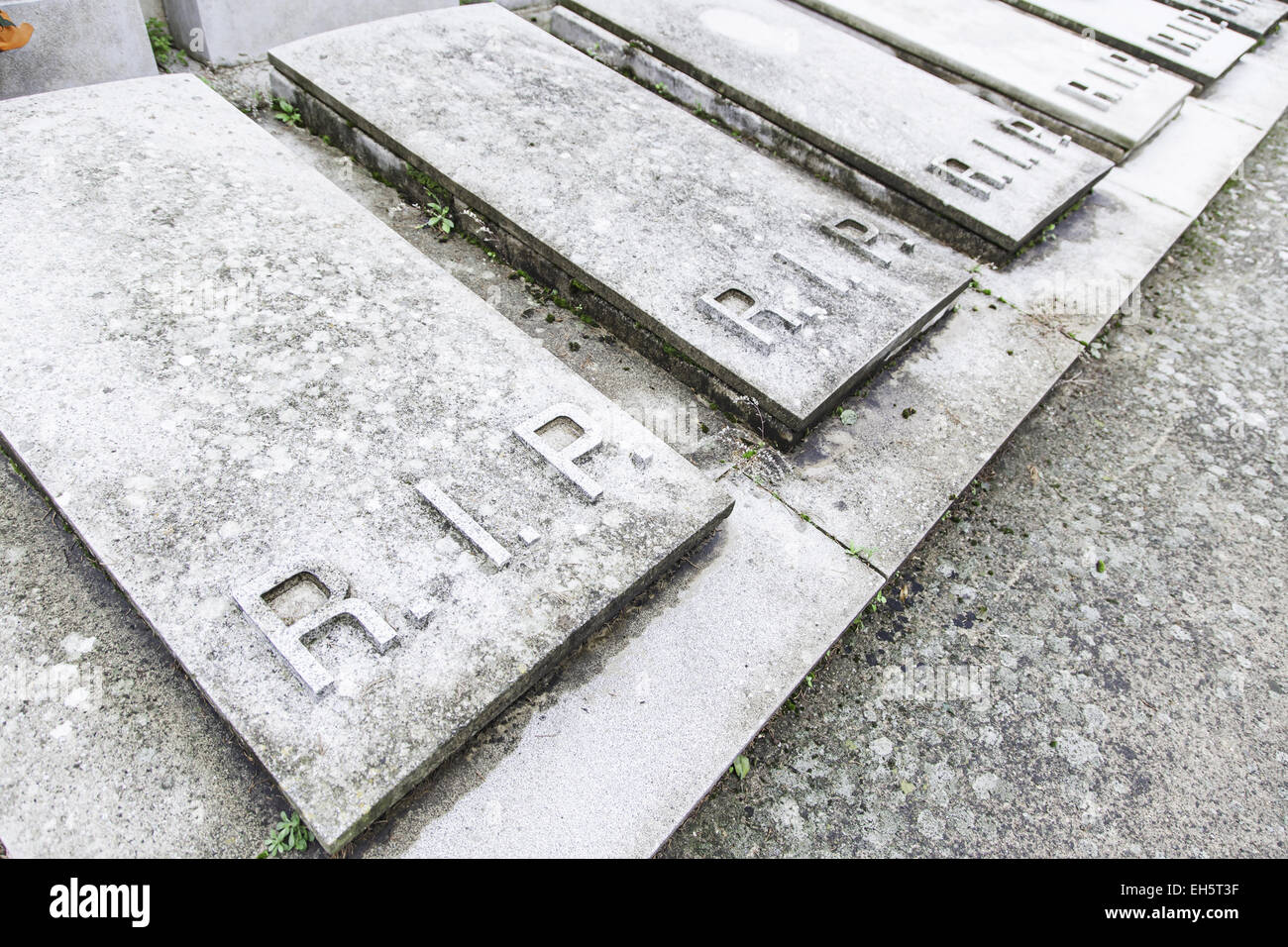 Detail empty graves in hi-res stock photography and images - Alamy