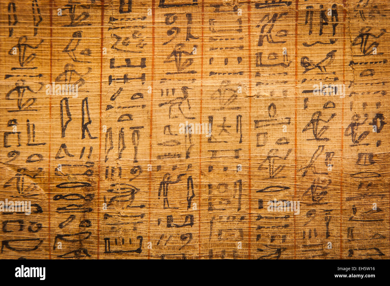 Egyptian Papyrus Writing