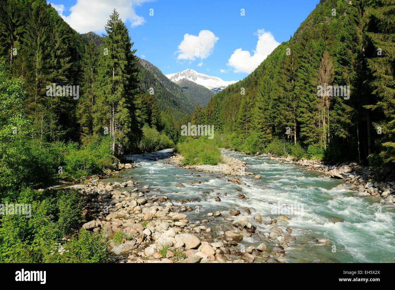 Landscape with mountains trees and a river in front Stock Photo - Alamy