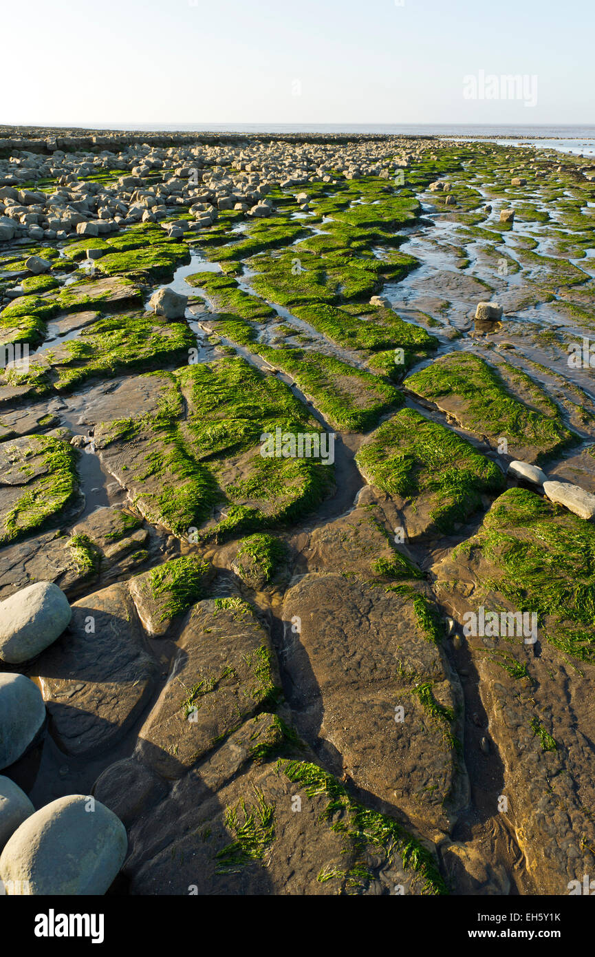 Lilstock beach on somerset coast hi-res stock photography and images ...