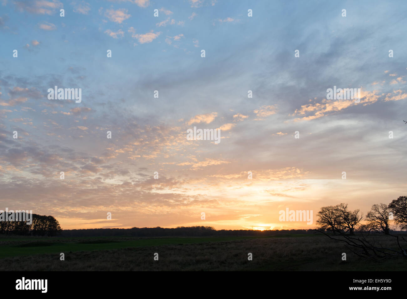 Nordic landscape hi-res stock photography and images - Alamy