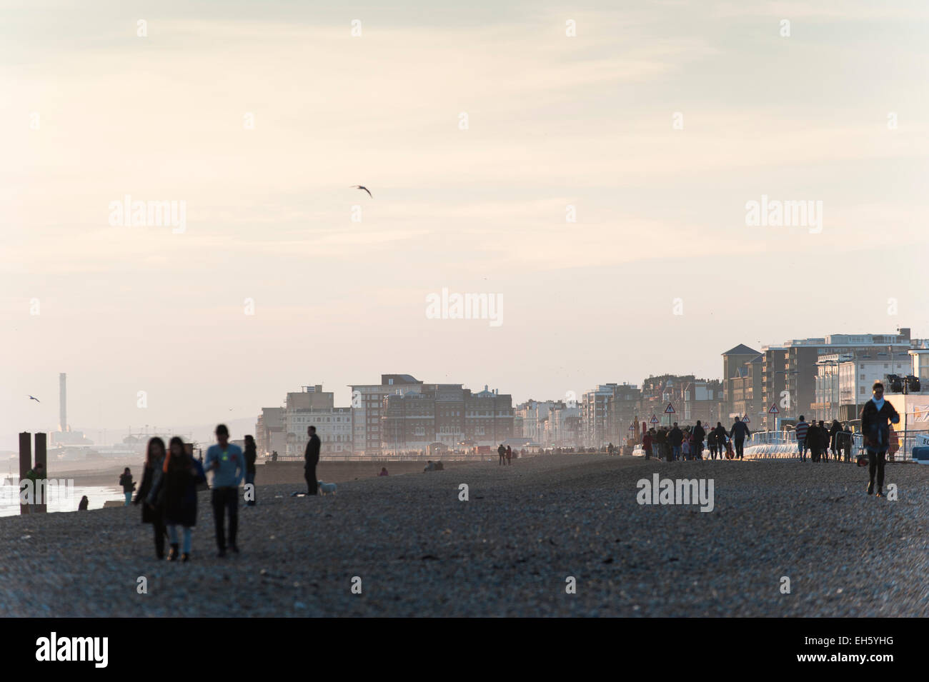 Brightons shingle beach hi-res stock photography and images - Alamy