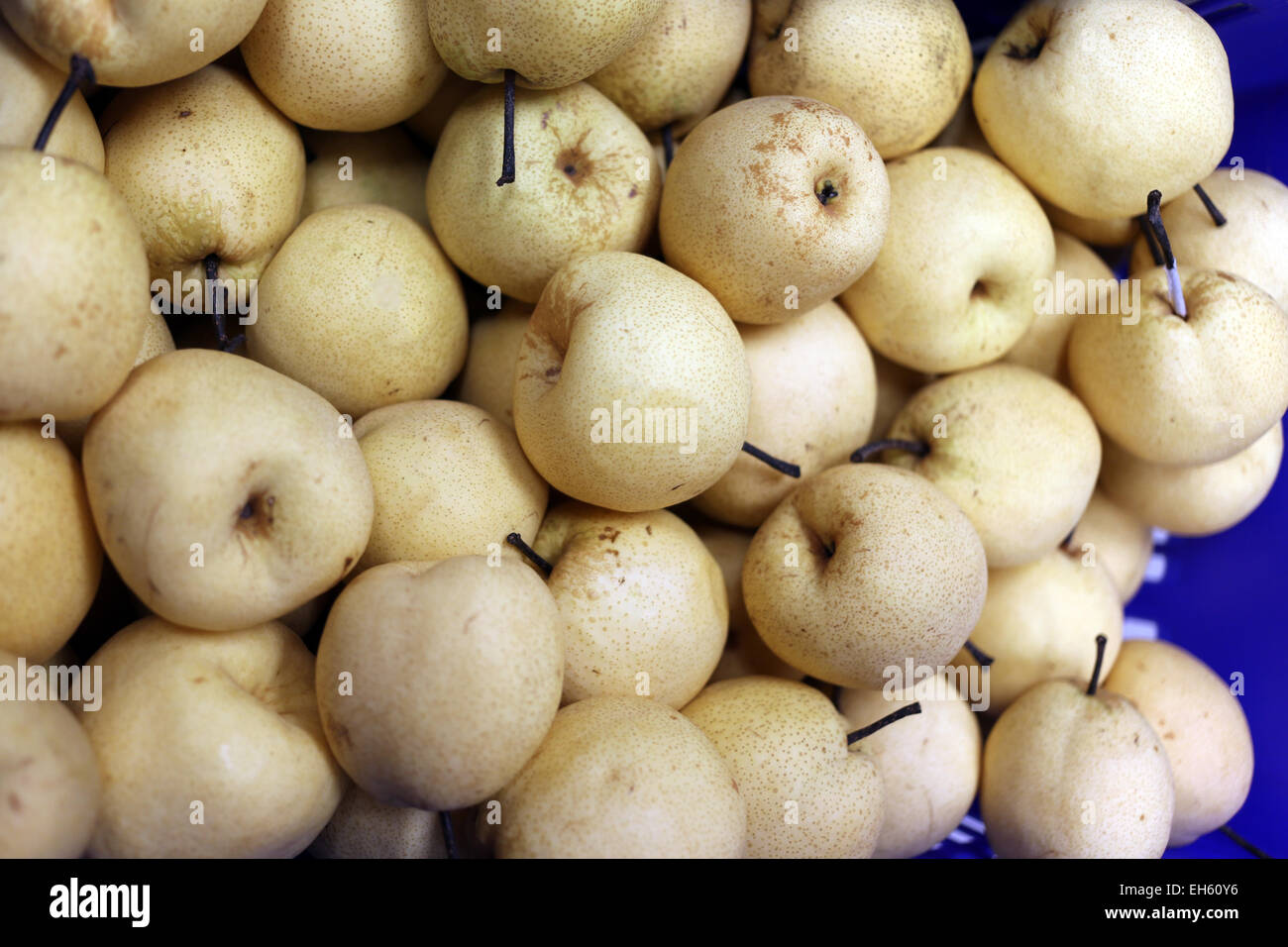 Focus in Fresh Chinese pear fruits is Healthy Food Stock Photo - Alamy