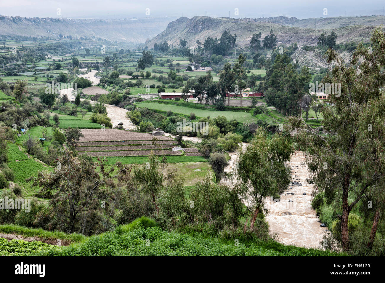 Terracing farming peru hi-res stock photography and images - Alamy