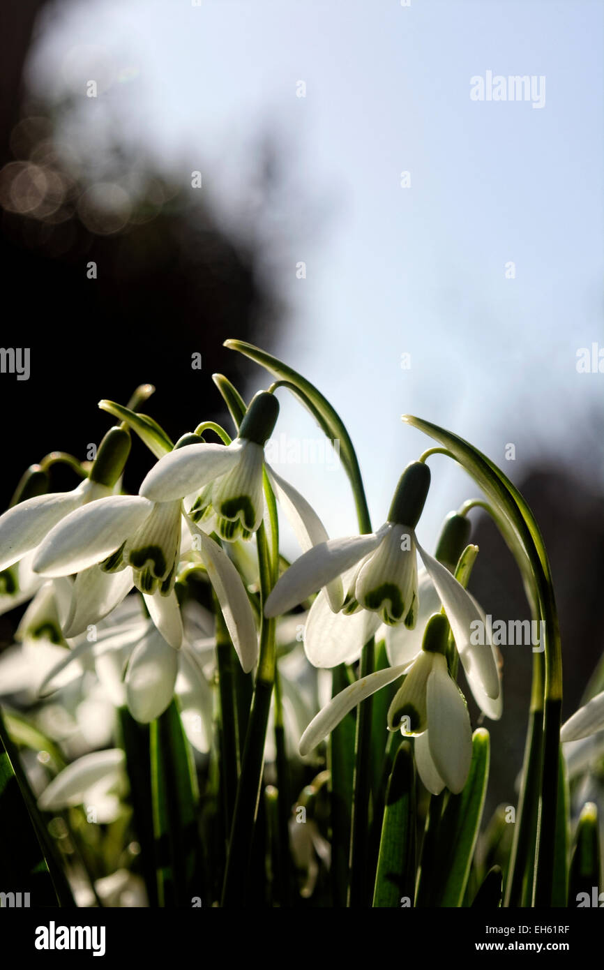Soft breeze hi-res stock photography and images - Alamy