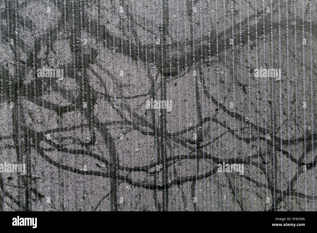 Snail tracks hi-res stock photography and images - Alamy