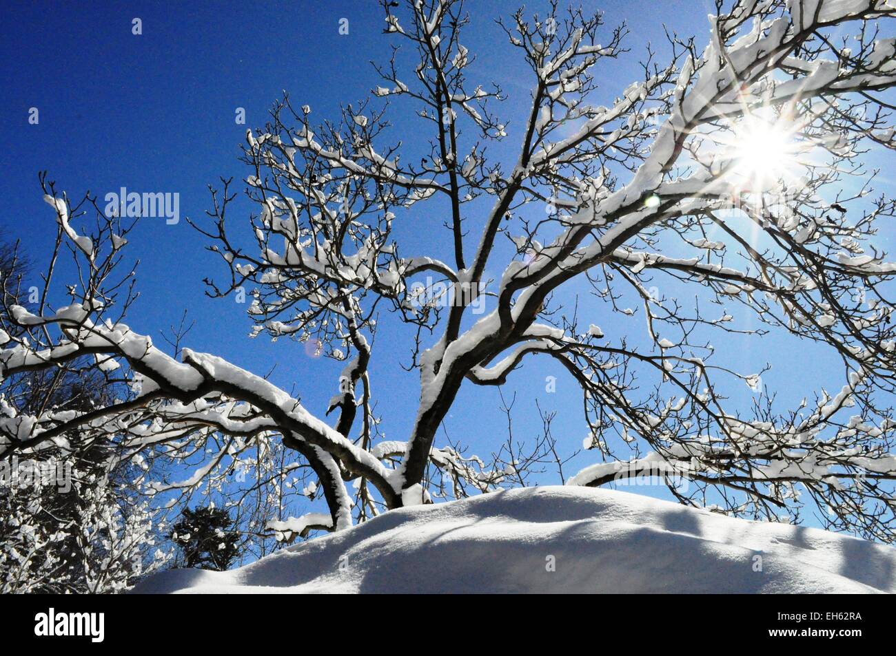 Cover by snow hi-res stock photography and images - Alamy