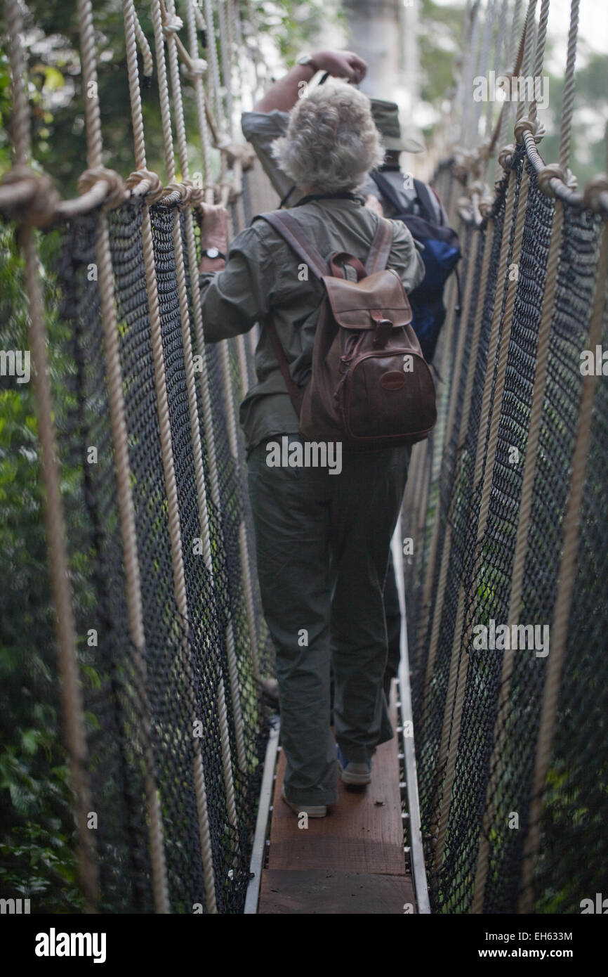 Kakum Canopy Walkway. Forty meters above the forest floor. Kakum ...