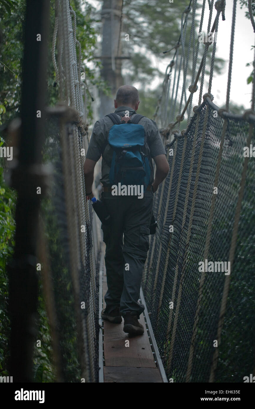 Kakum Canopy Walkway. Forty meters above the forest floor. Kakum ...