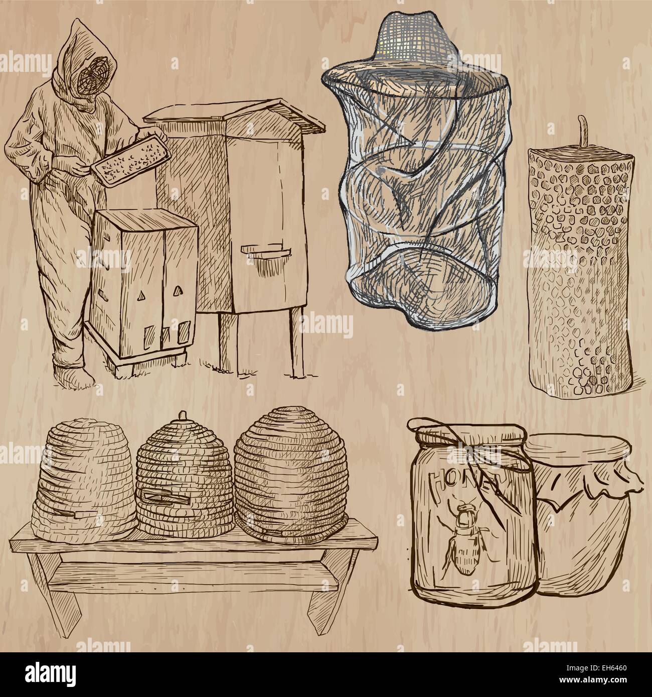 BEES, BEEKEEPING and HONEY. Collection of an hand drawn vector ...