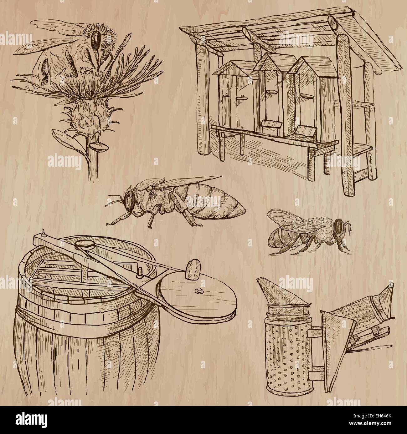 Vintage beekeeping Stock Vector Images - Alamy