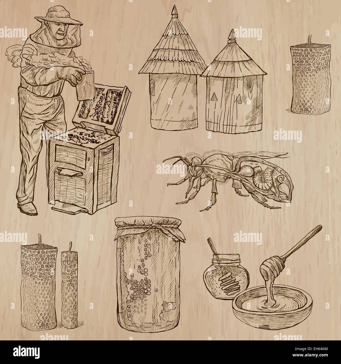 BEES, BEEKEEPING and HONEY. Collection of an hand drawn vector ...