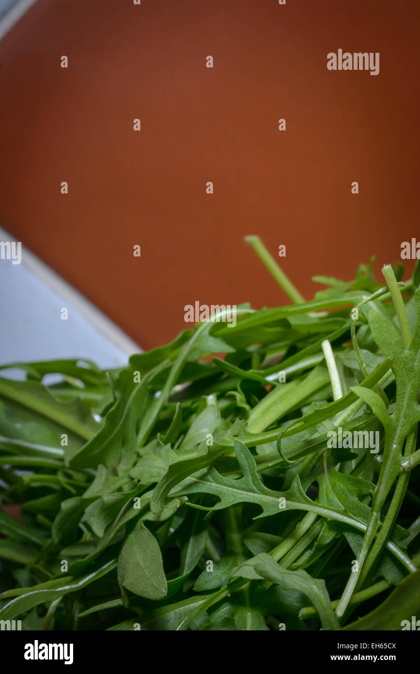 Rucola vegetable, nice to find it in a fresh salad Stock Photo - Alamy