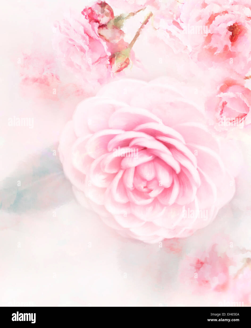 Digital Painting Of Pink Roses Stock Photo - Alamy