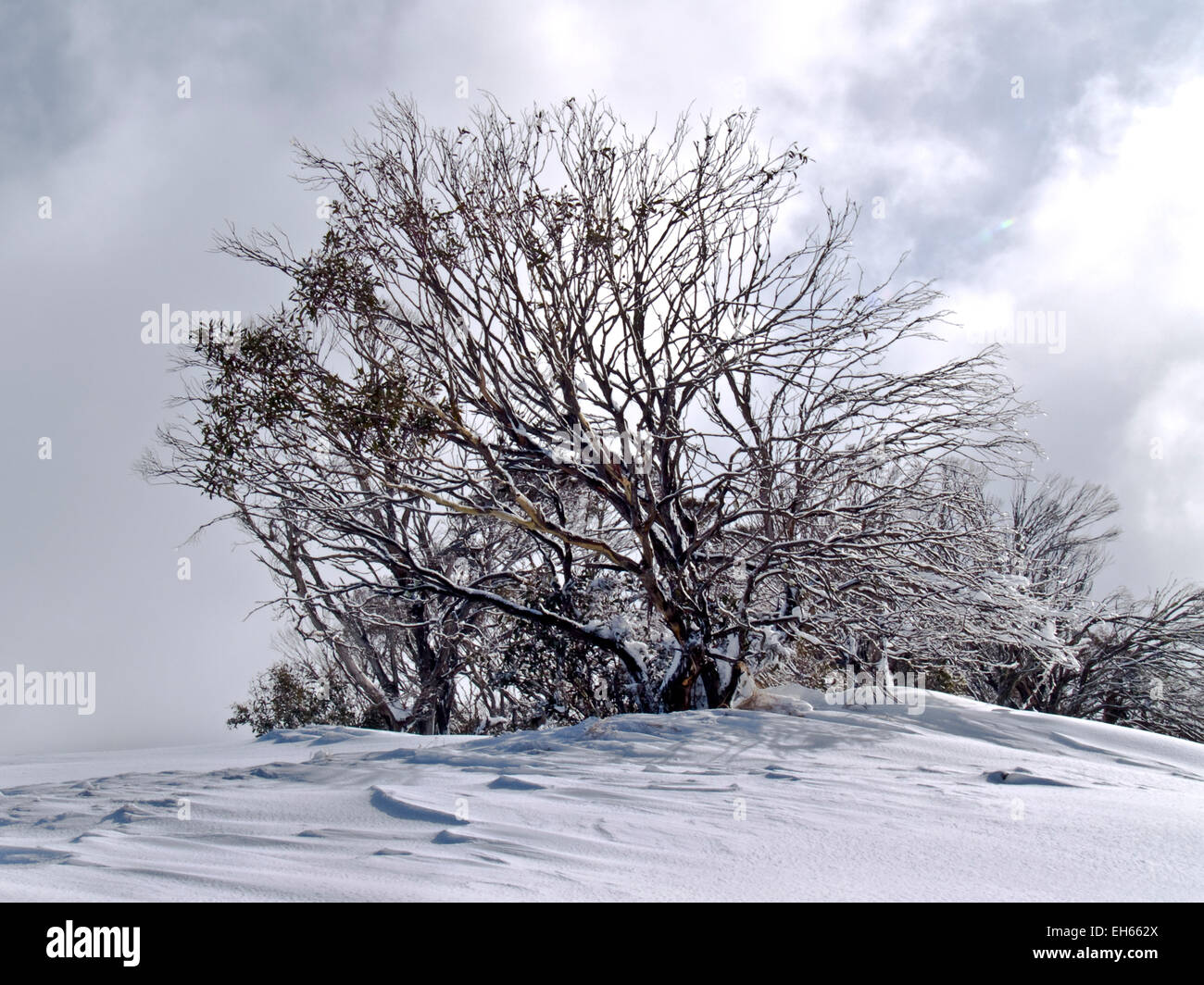 Australia: Snowy Mountains, NSW Stock Photo - Alamy