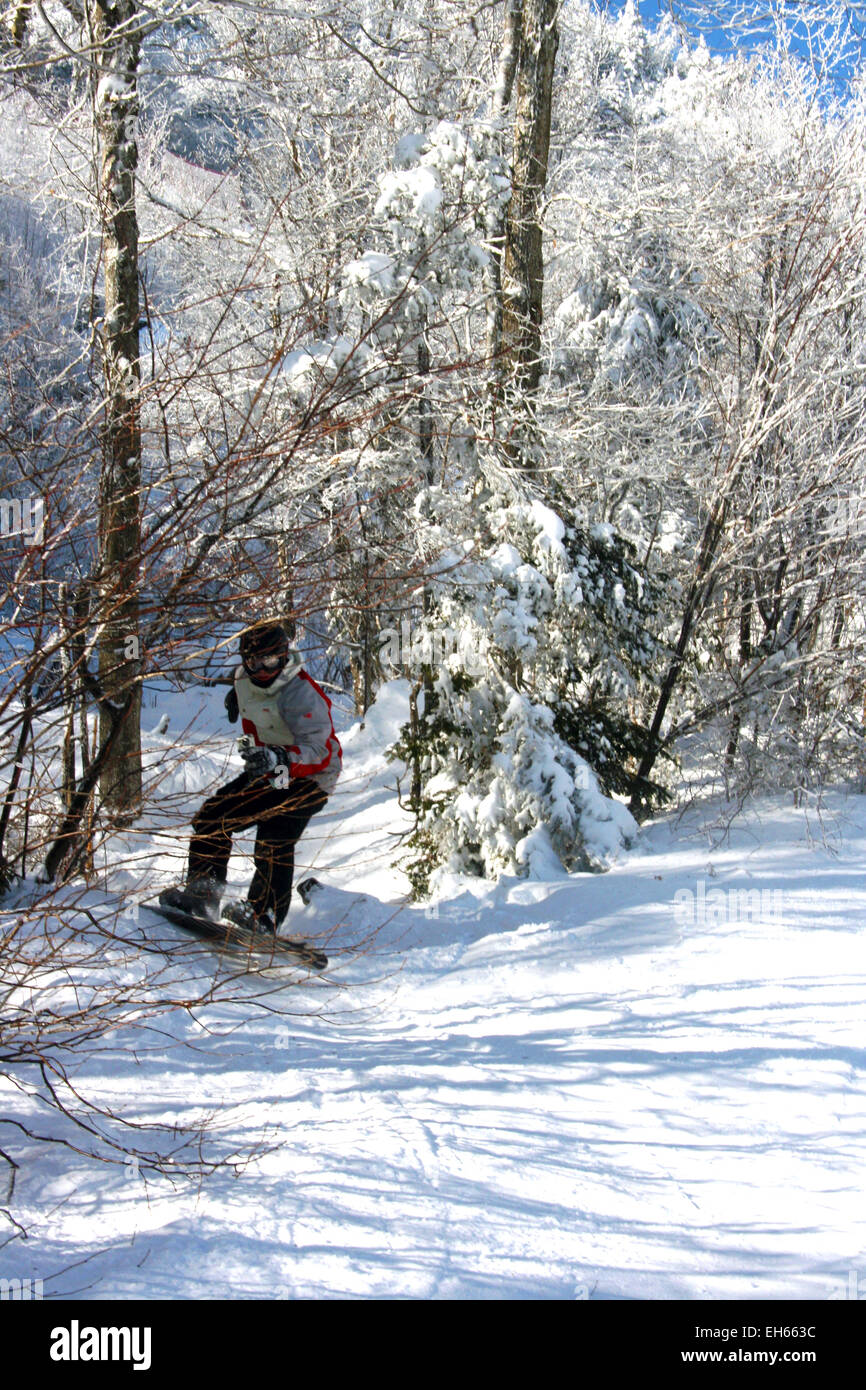 A snowboarder coming out of some glades Stock Photo - Alamy