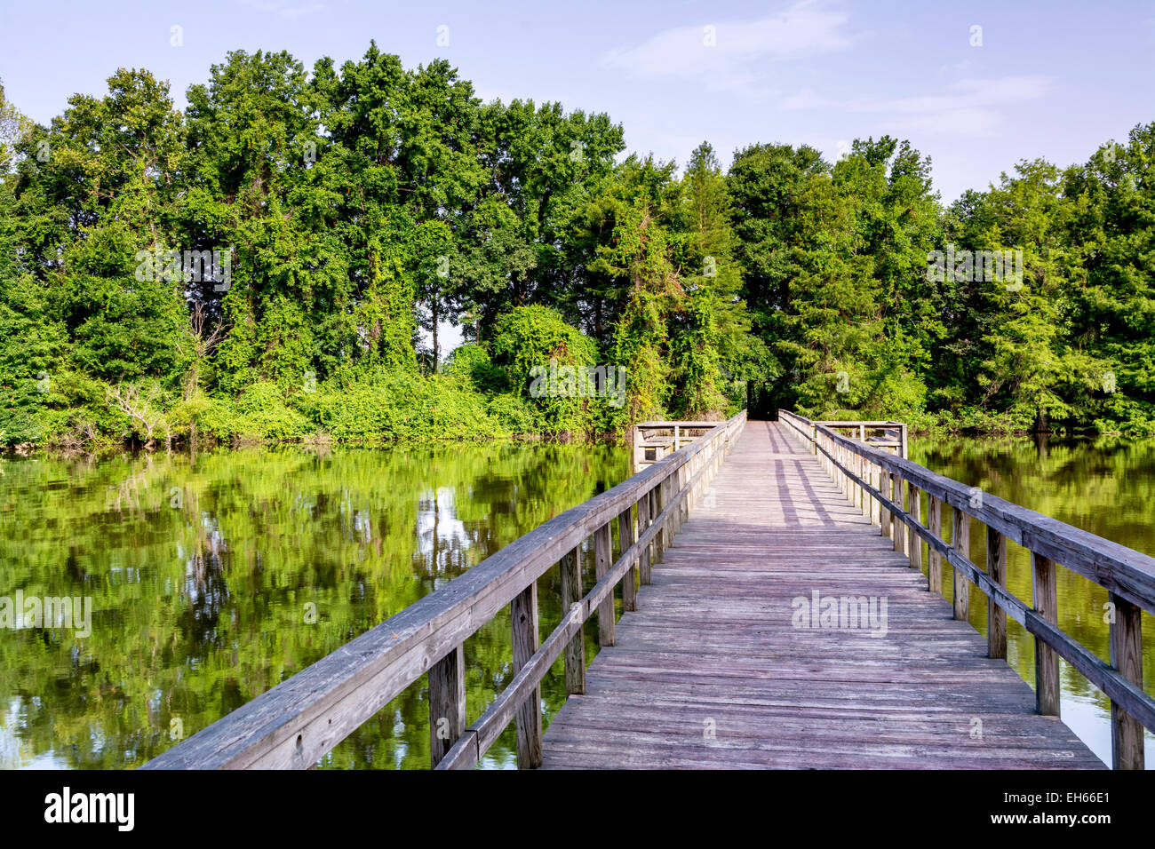 Alabama swamp hi-res stock photography and images - Alamy