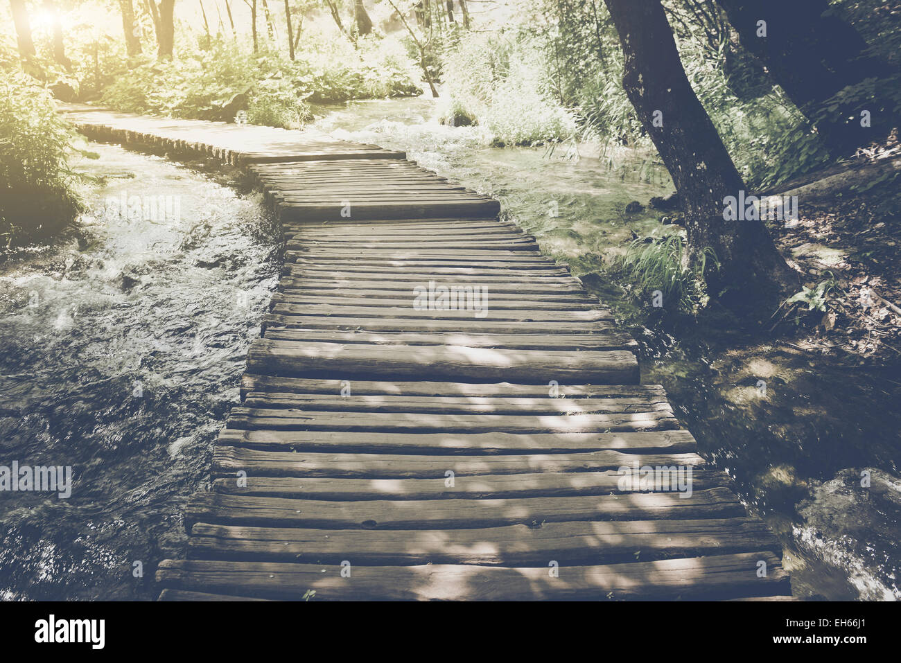 Hiking Trail with Sunlight with Vintage Instagram Film Effect Stock ...