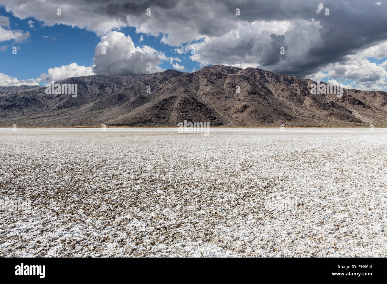 Flat dry hi-res stock photography and images - Alamy