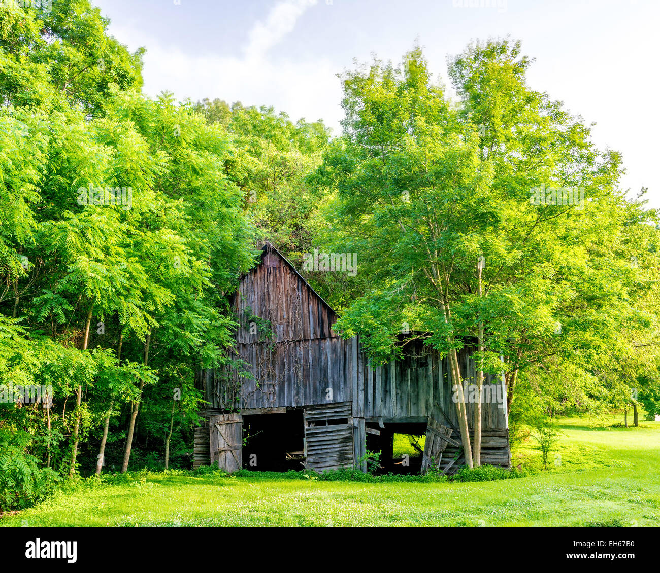 Moonshiner hi-res stock photography and images - Alamy