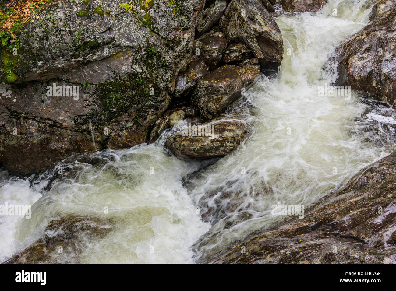 Water pours over rocks in a remote river during the fall season Stock ...