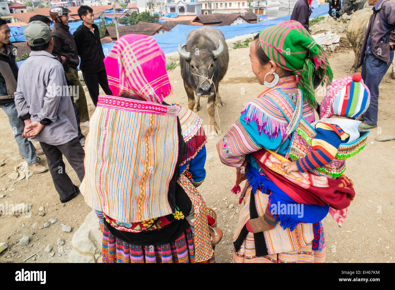 Bac Ha Sunday Market famed for buffalo selling near Lao Cai, and Sa Pa ...