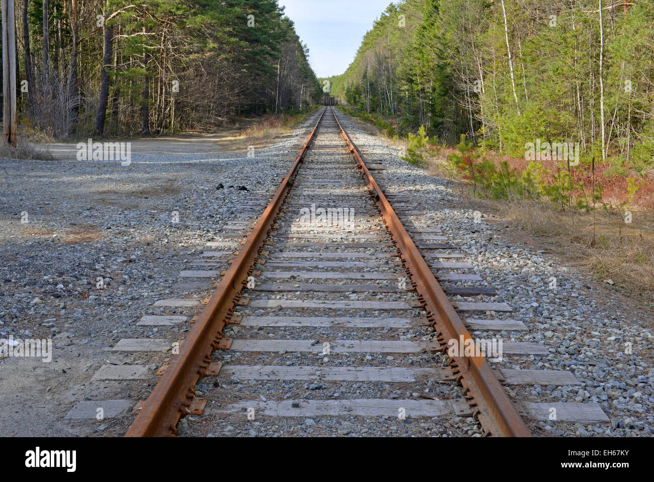 Train Tracks Leading to the Horizon Stock Photo - Alamy