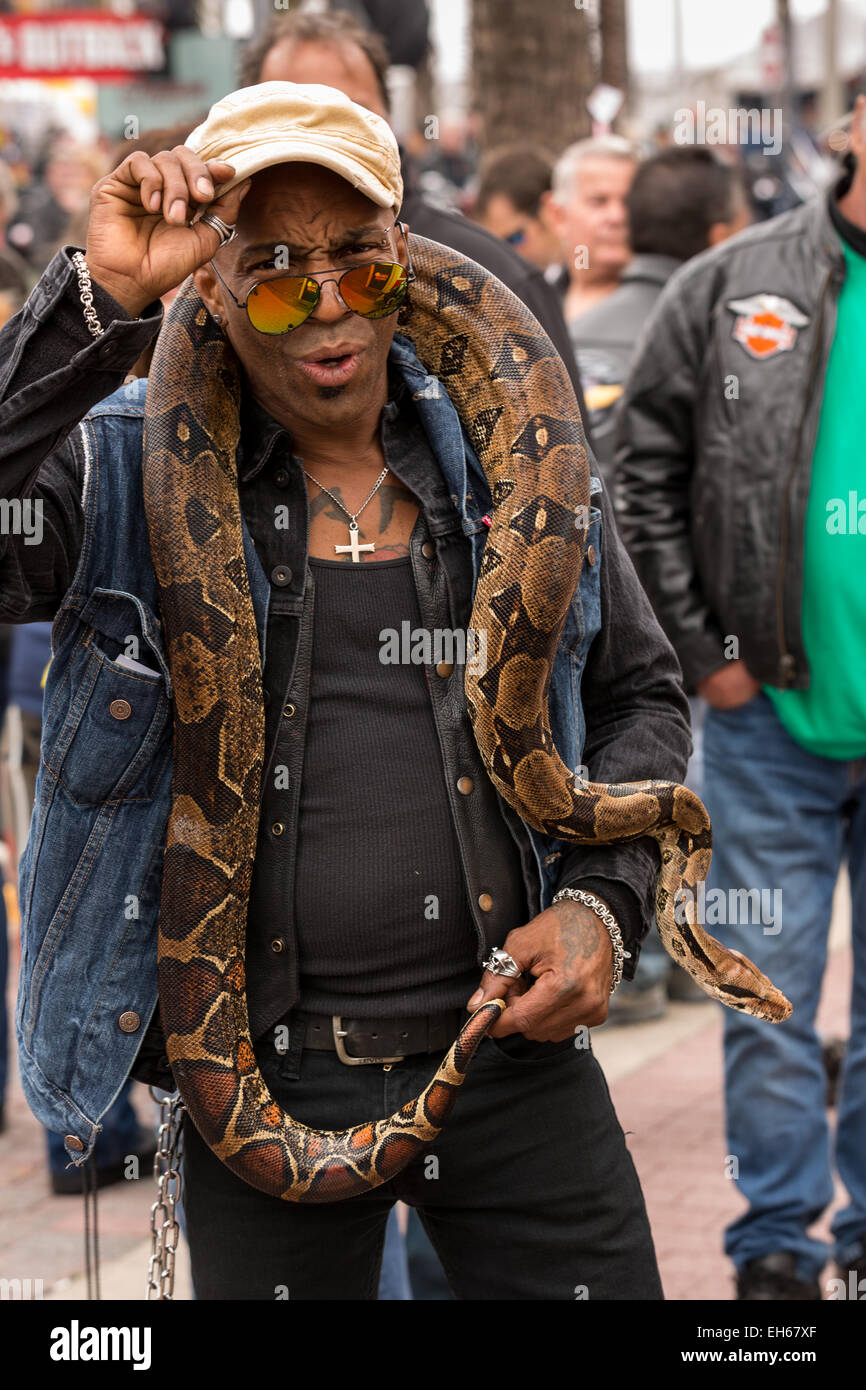 A biker poses with his boa constrictor snake on Main Street during the ...
