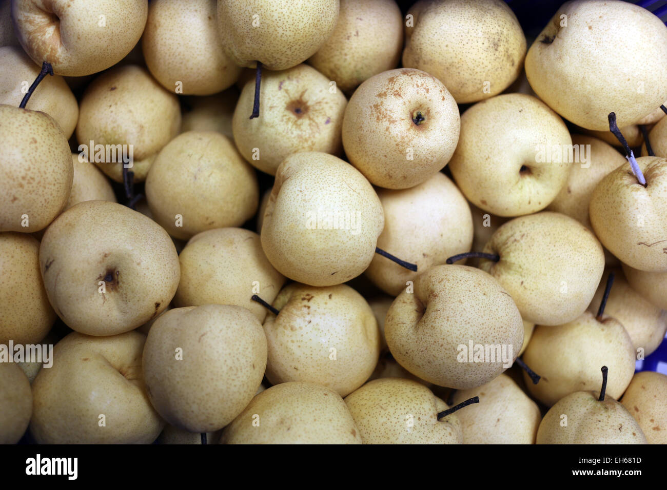 Focus in Fresh Chinese pear fruits is Healthy Food Stock Photo - Alamy
