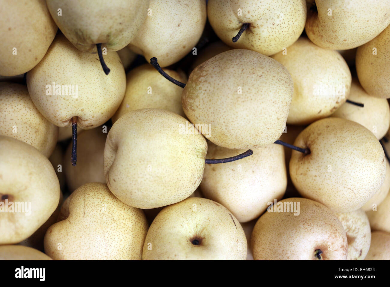 Food in focus hi-res stock photography and images - Alamy