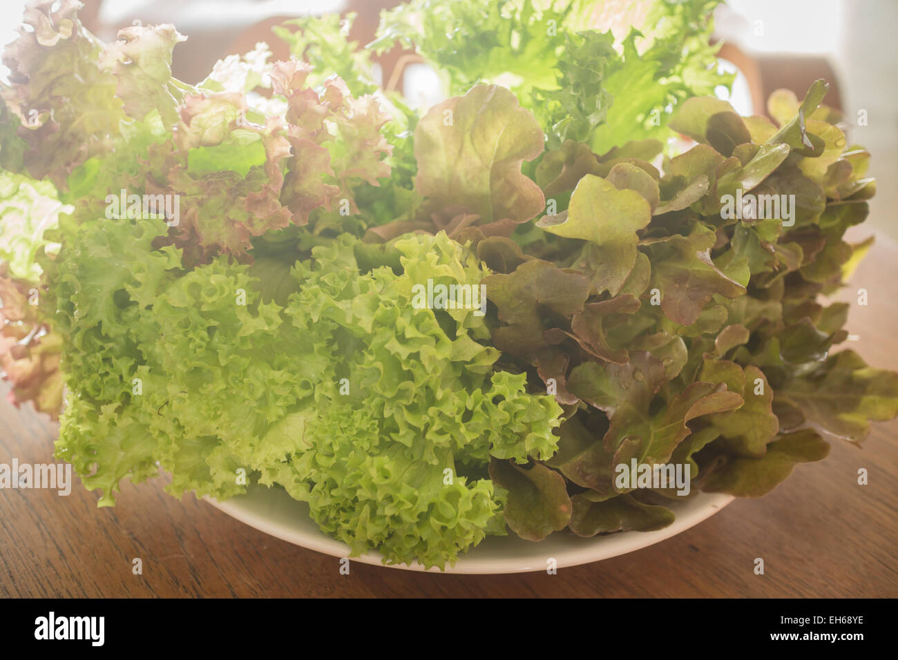 Fresh organic mix salad vegetable, stock photo Stock Photo - Alamy