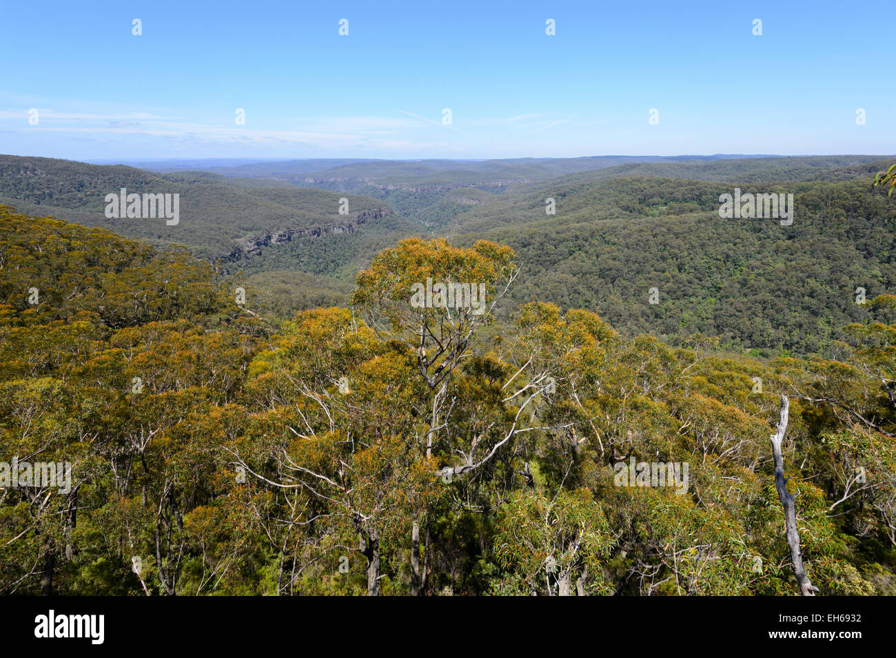 South morton hi-res stock photography and images - Alamy