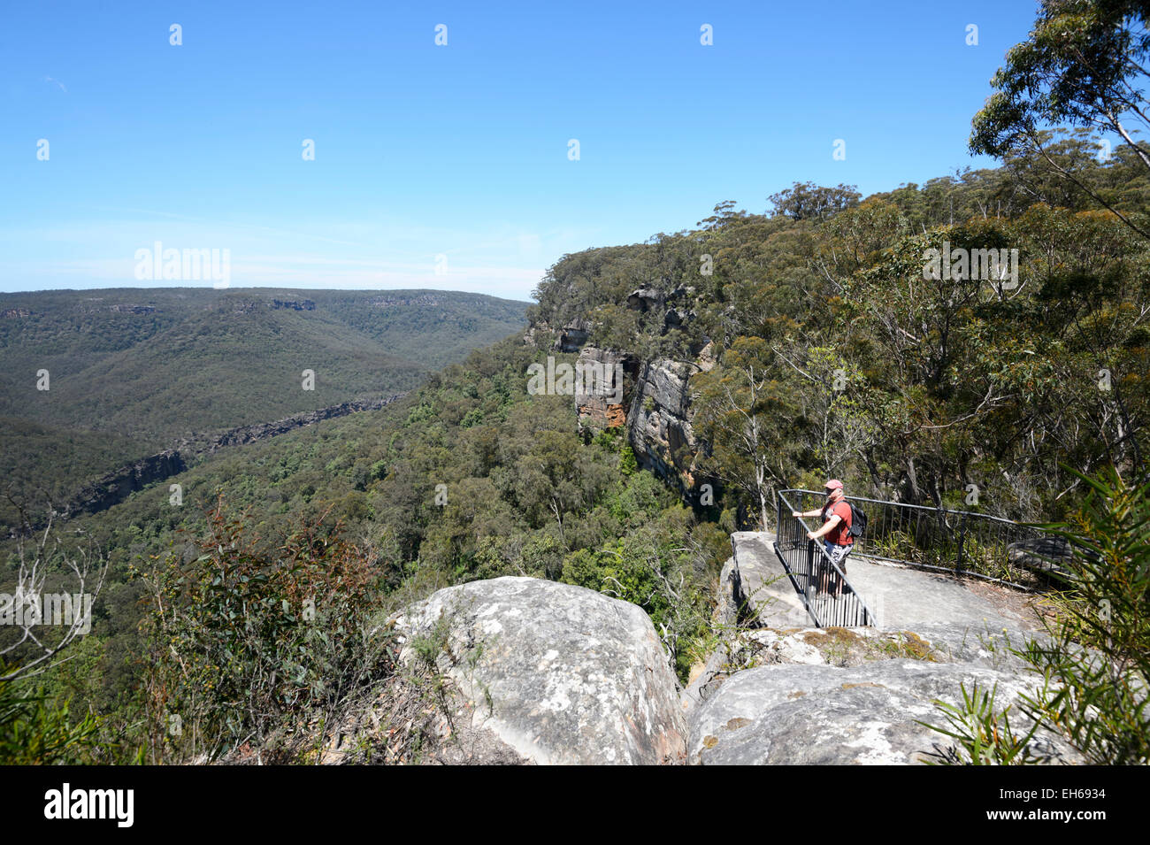 Morton forest hi-res stock photography and images - Alamy