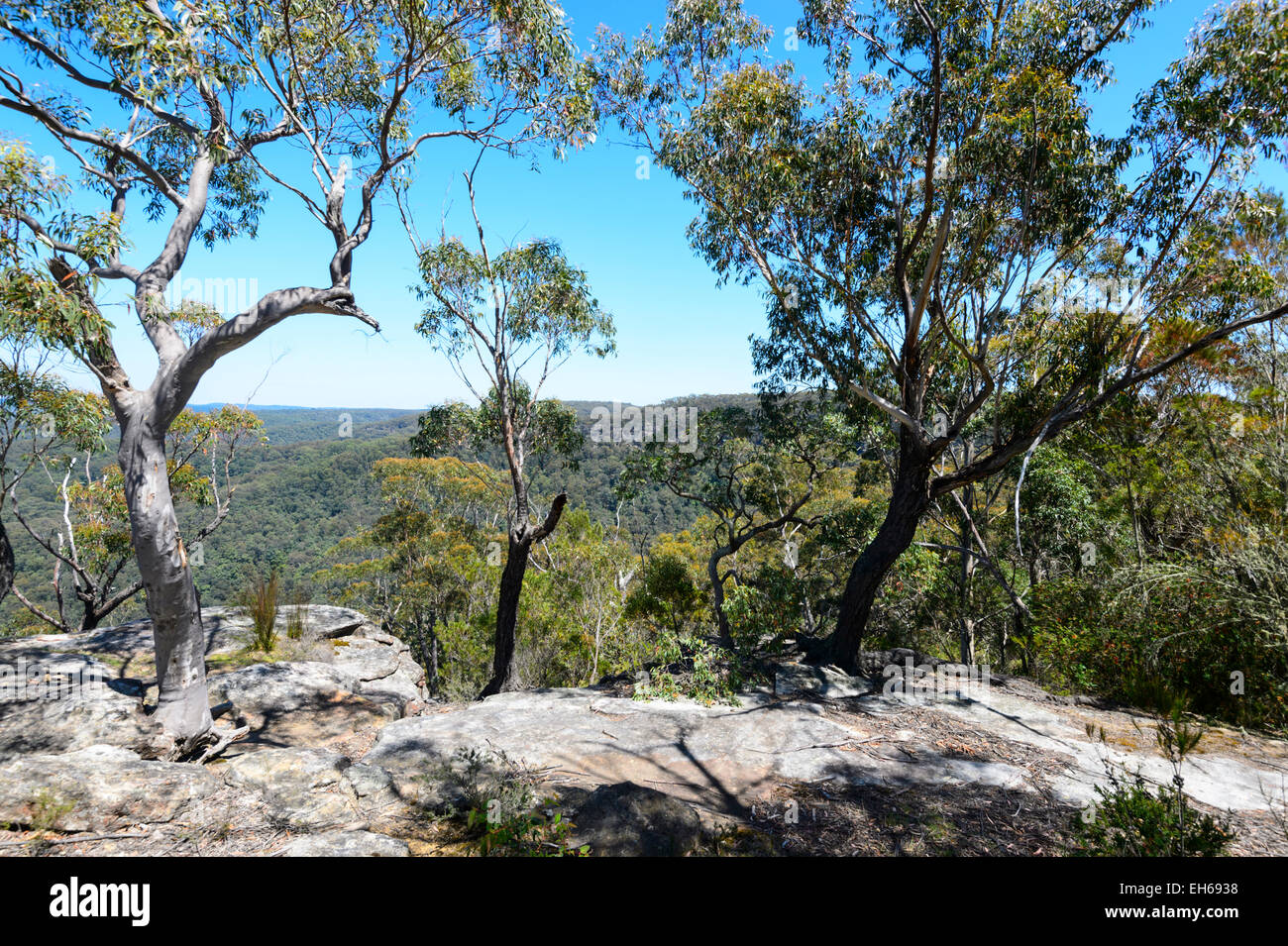 Morton national park hi-res stock photography and images - Alamy