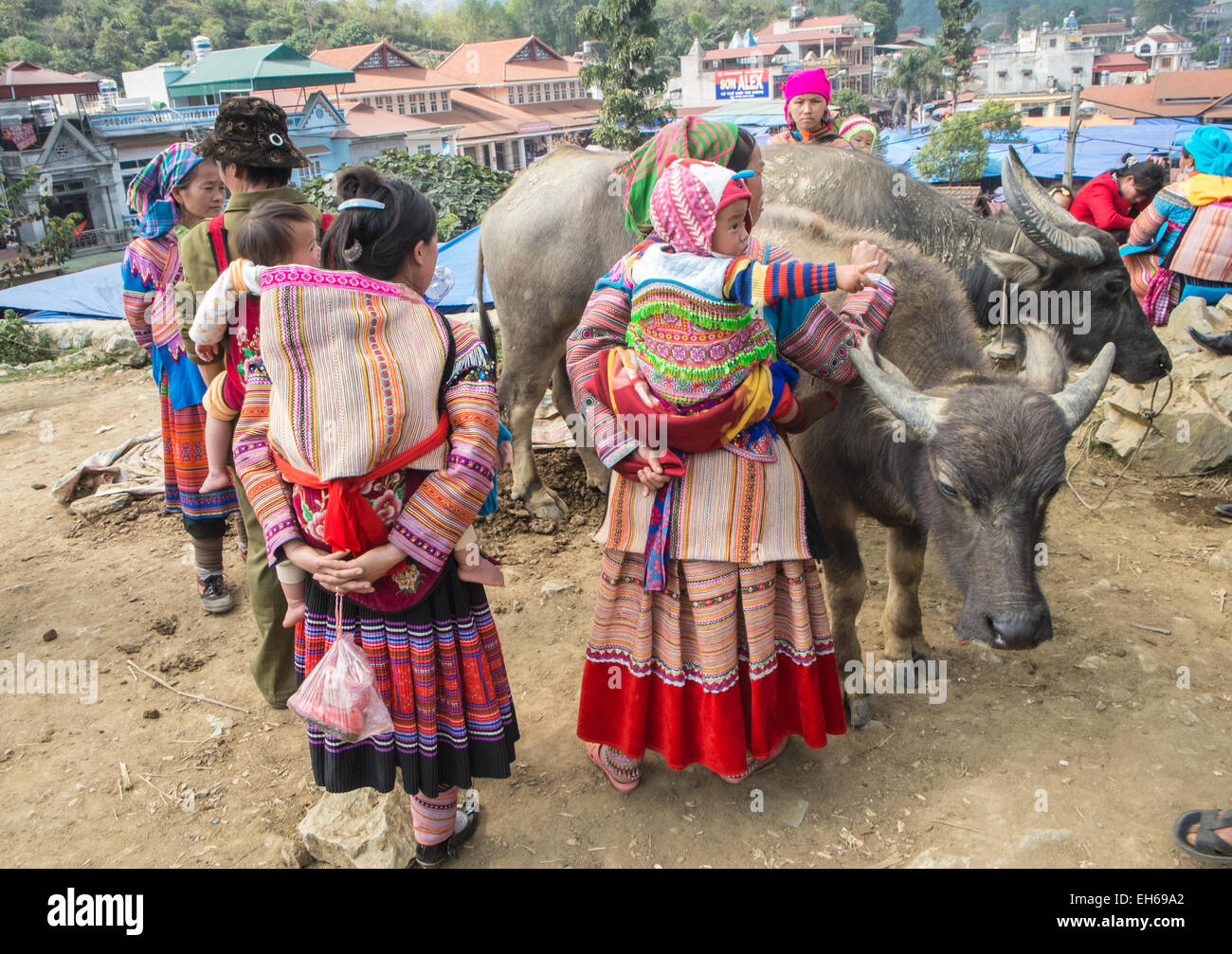 Bac Ha Sunday Market famed for buffalo selling near Lao Cai, and Sa Pa ...