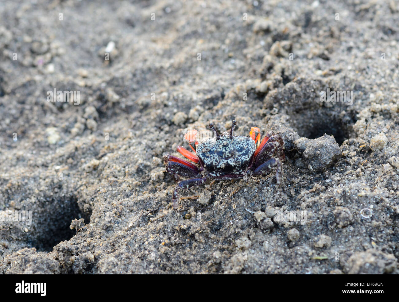 Semaphore south australia hi-res stock photography and images - Alamy