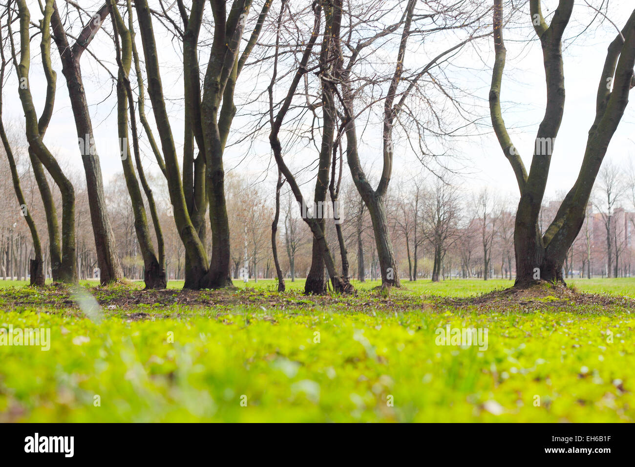 Freen hi-res stock photography and images - Alamy