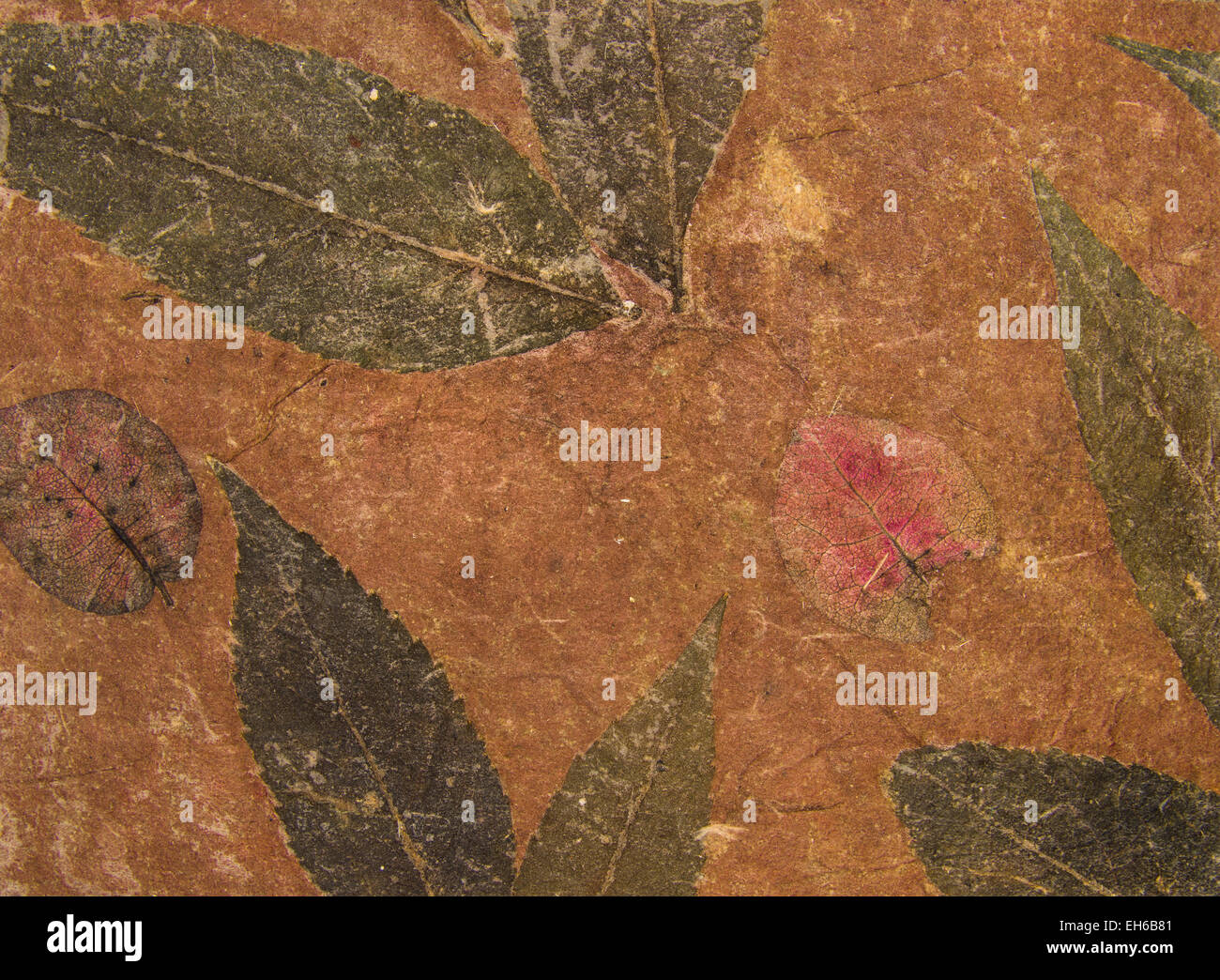 Aged handmade brown paper texture with leaves herbarium. Natural ...
