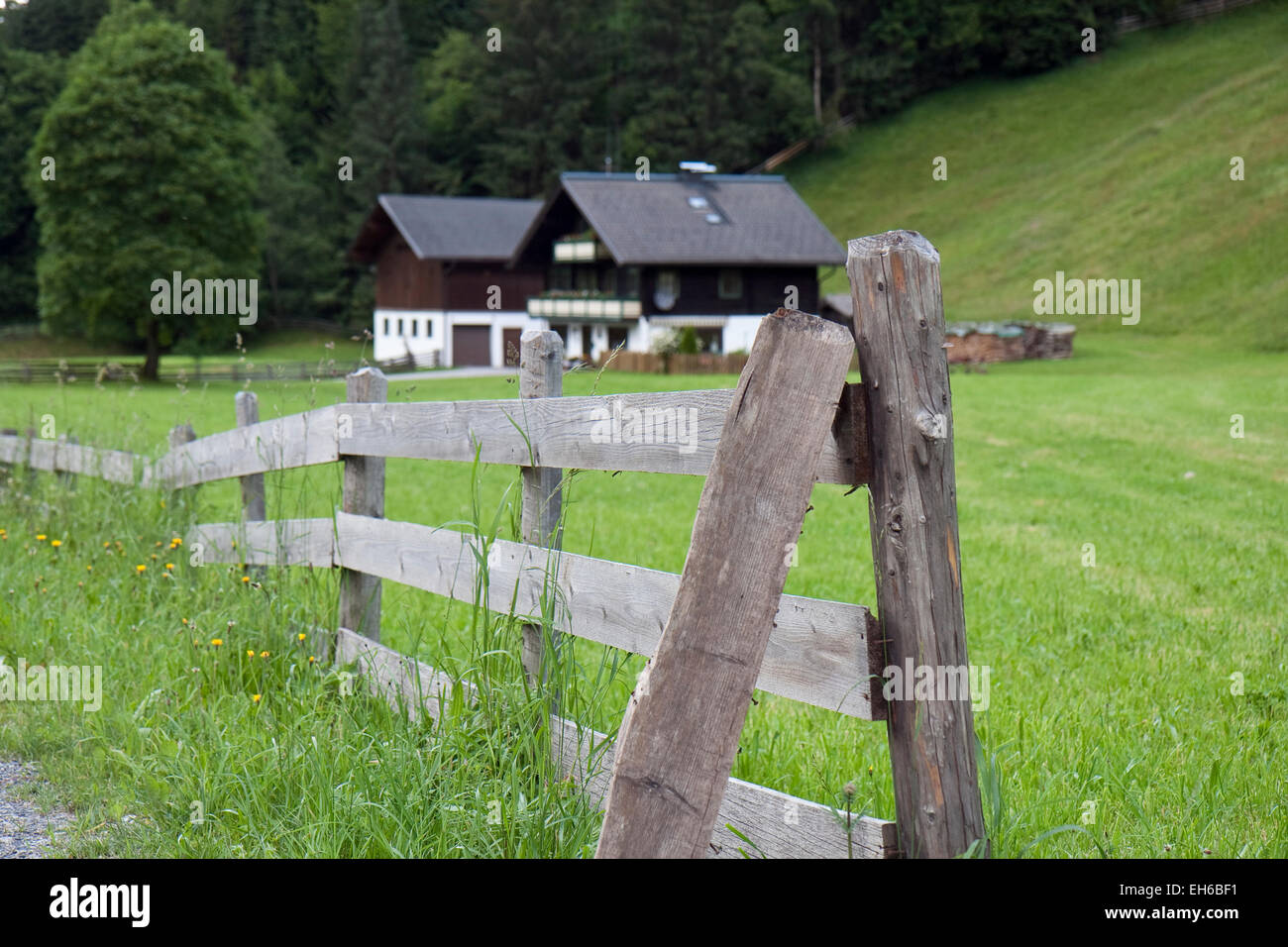 Fence at a field in the Austrian Alps Stock Photo - Alamy
