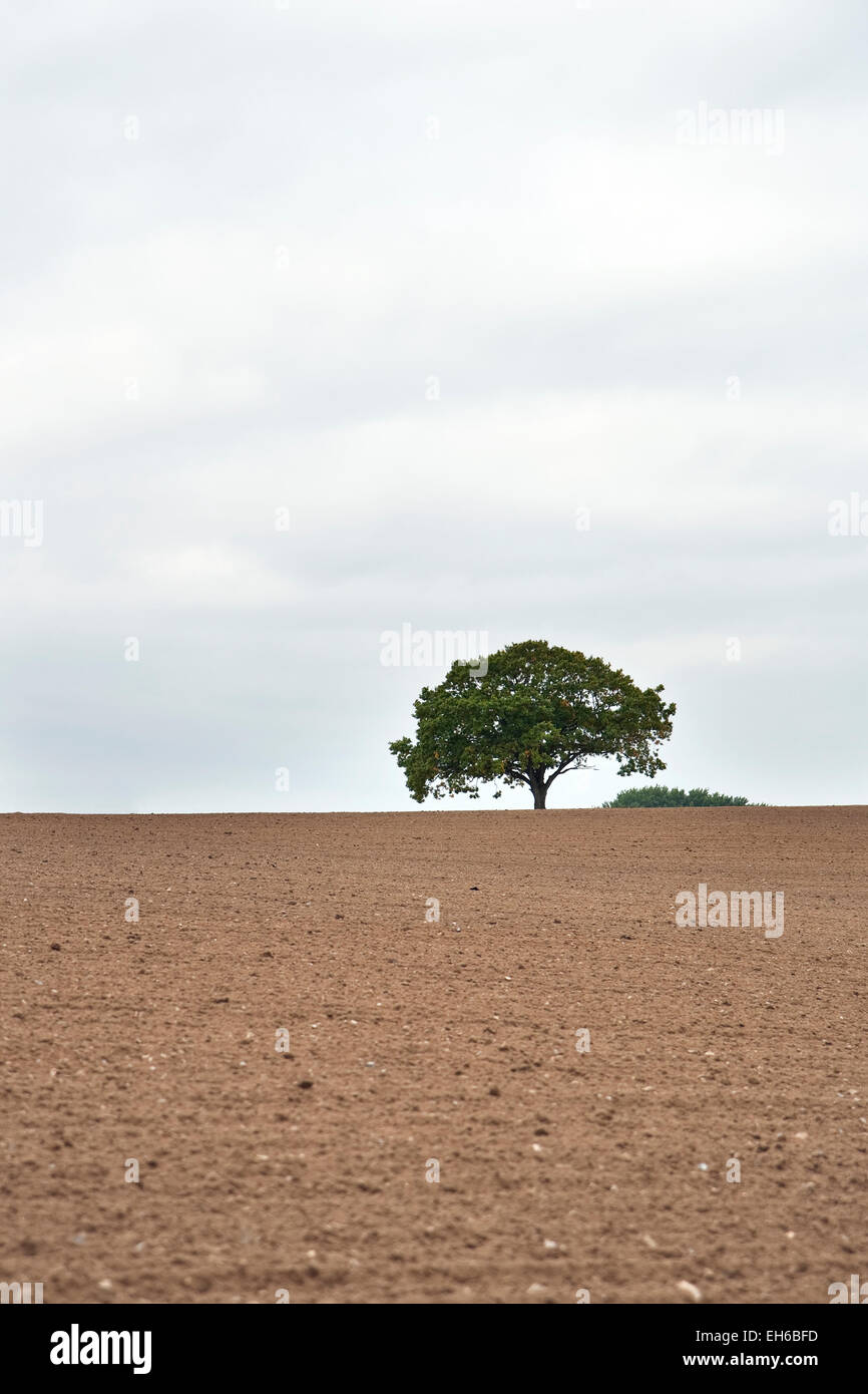 Harrowed Field High Resolution Stock Photography and Images - Alamy