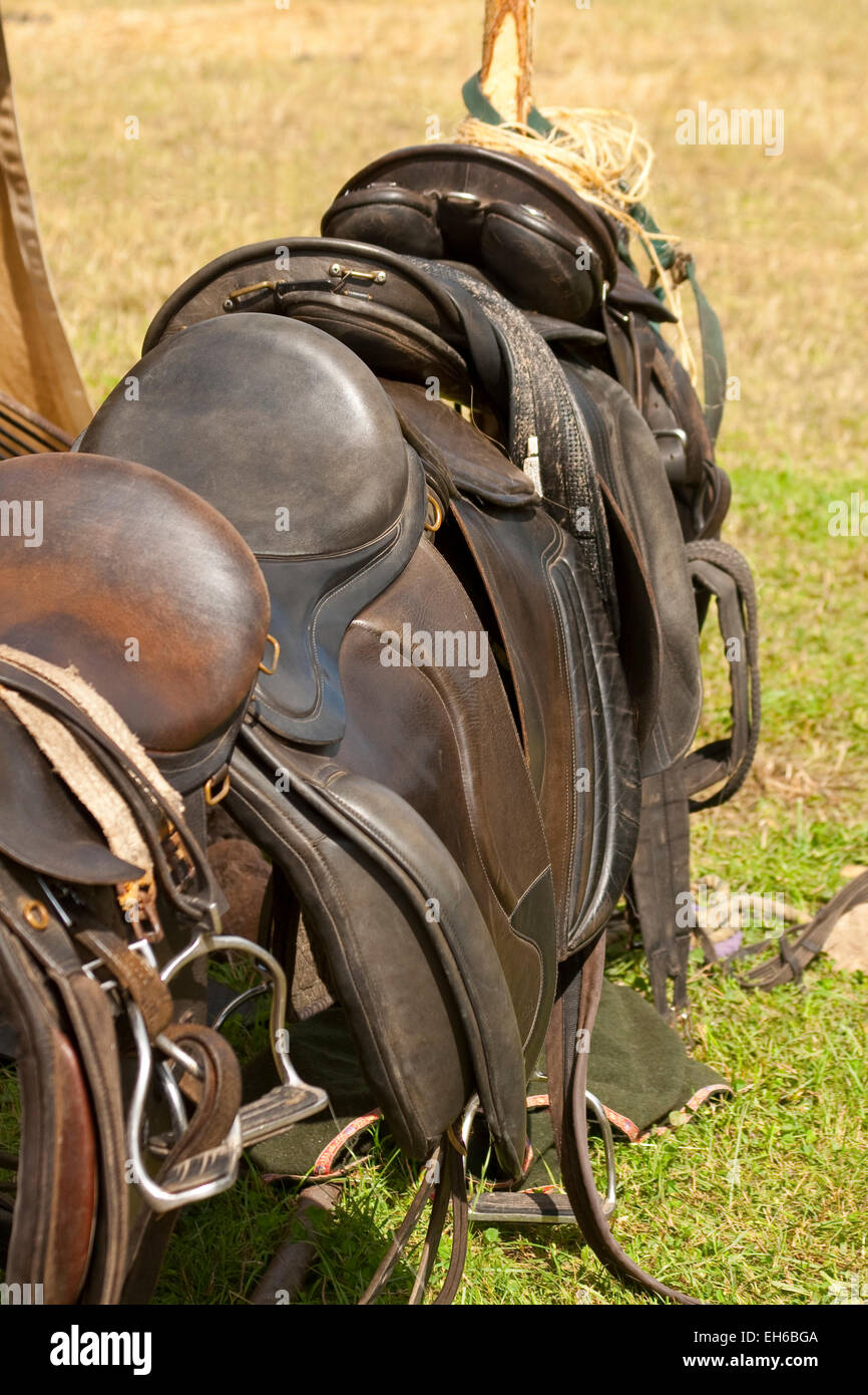 Saddles. Shot from the Viking Moot at the Moesgaard Beach near Aarhus ...